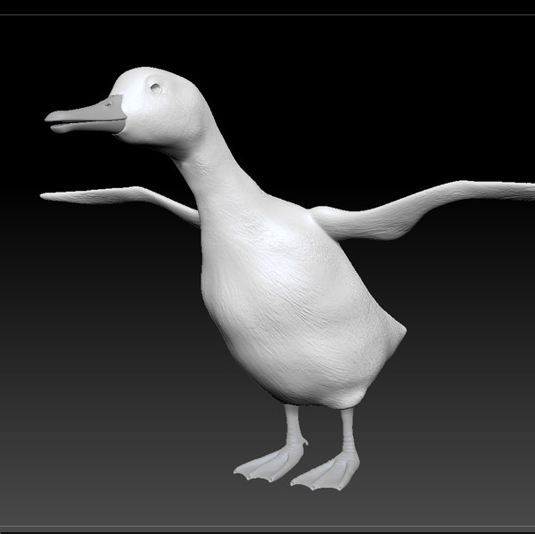 Realistic white duck rigging 3D model - TurboSquid 1201727