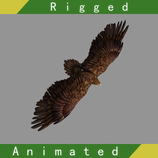 maya bald eagle