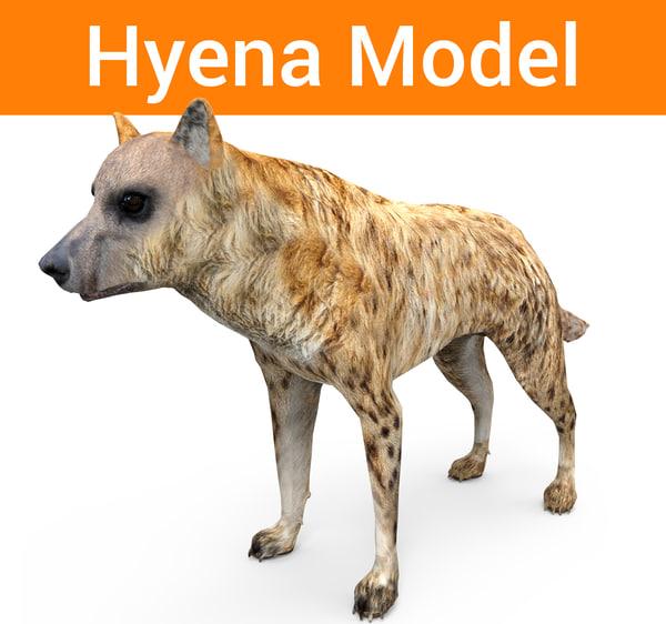 Hyena 3D Models for Download | TurboSquid