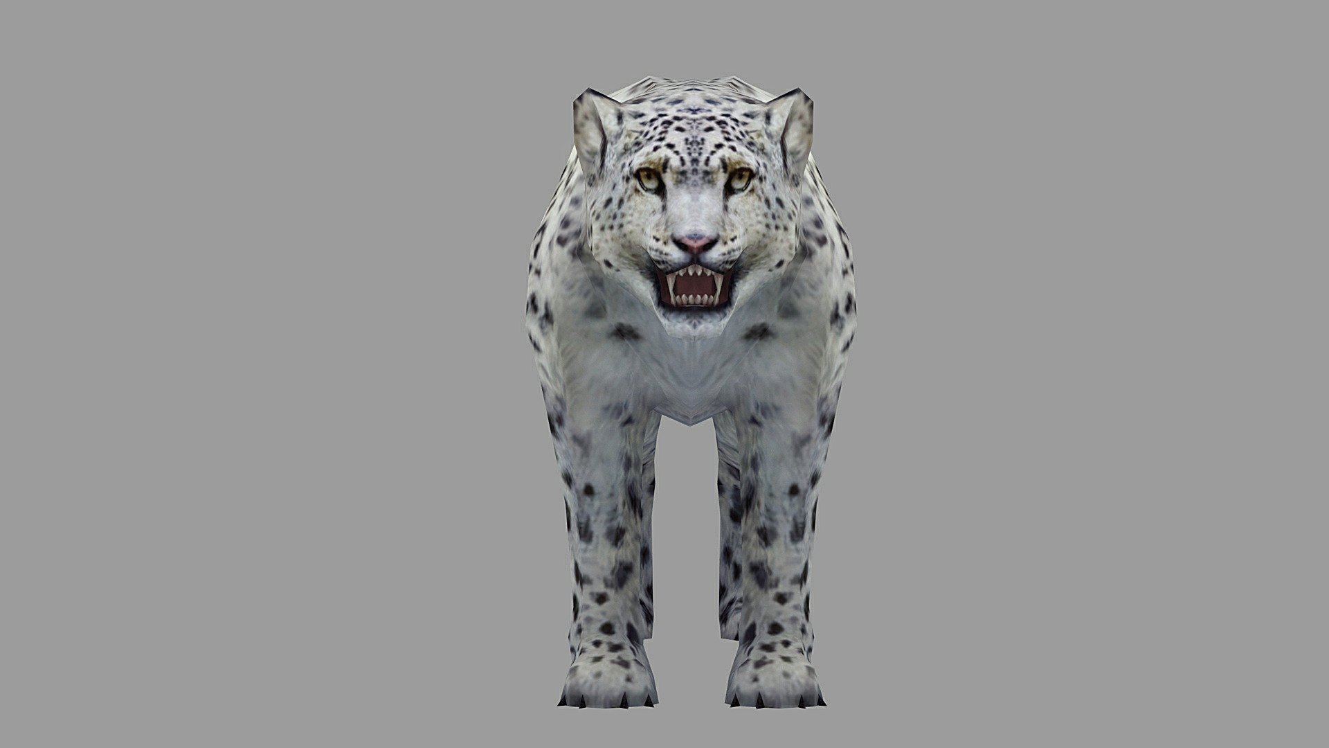 3D snow leopard rigged animations model - TurboSquid 1202639