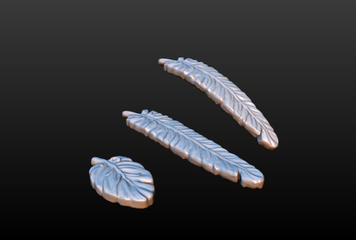 Feathers 3D model - TurboSquid 1203117