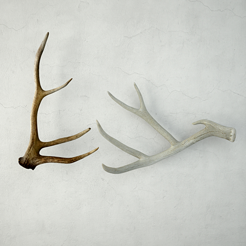 Deer antlers 3D - TurboSquid 1203158