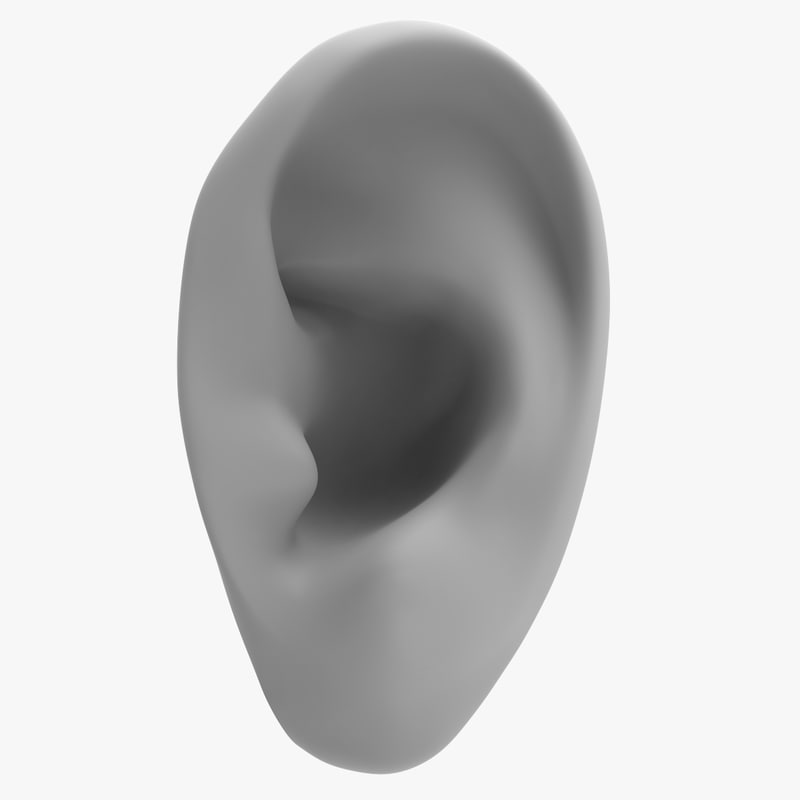 Human ear 3D model - TurboSquid 1203538
