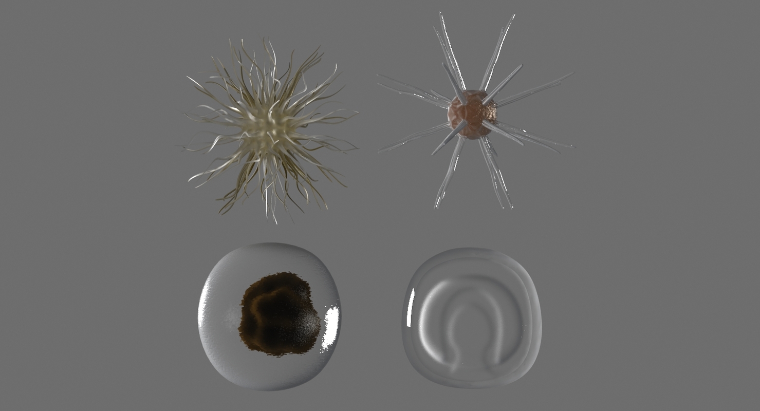 Plankton 3D model - TurboSquid 1203616