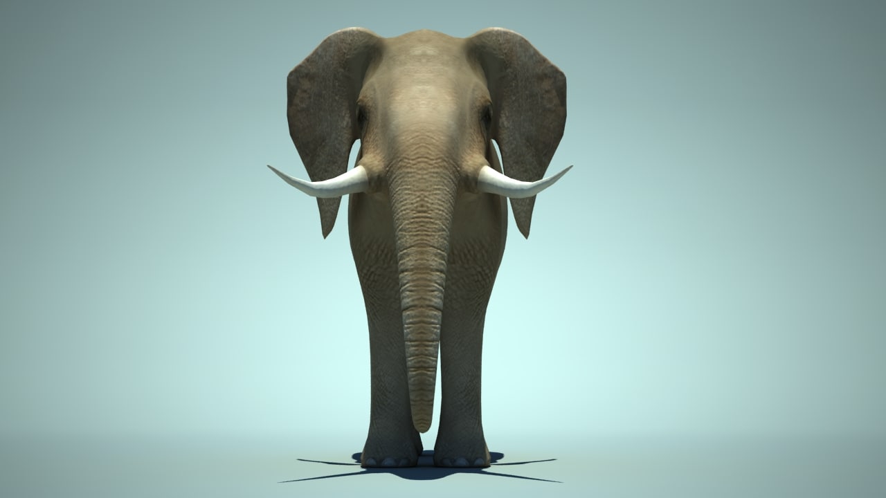 3D elephant - TurboSquid 1203804