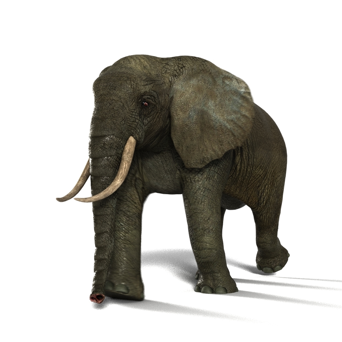 18 animals pack rigging 3D model - TurboSquid 1203808