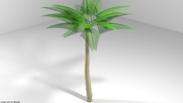 Palm Tree Blender Models for Download | TurboSquid