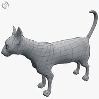 Blender Cat Models | TurboSquid