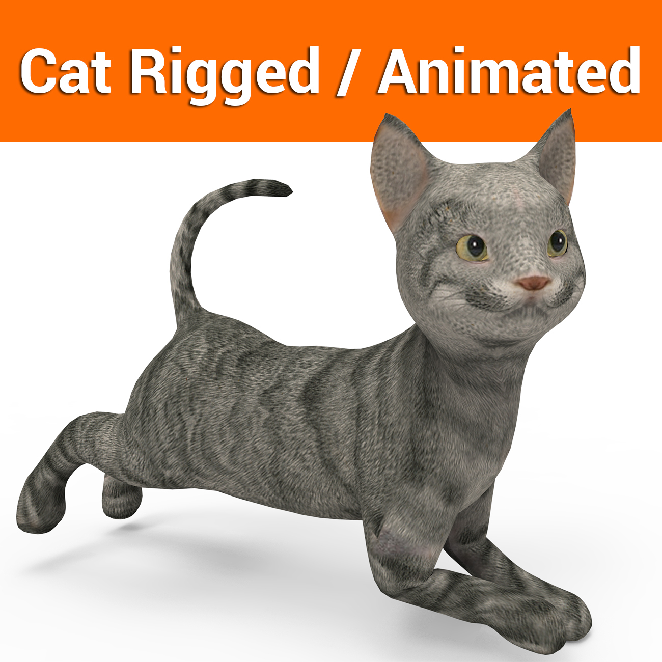 3D model cat rigged animation - TurboSquid 1204666