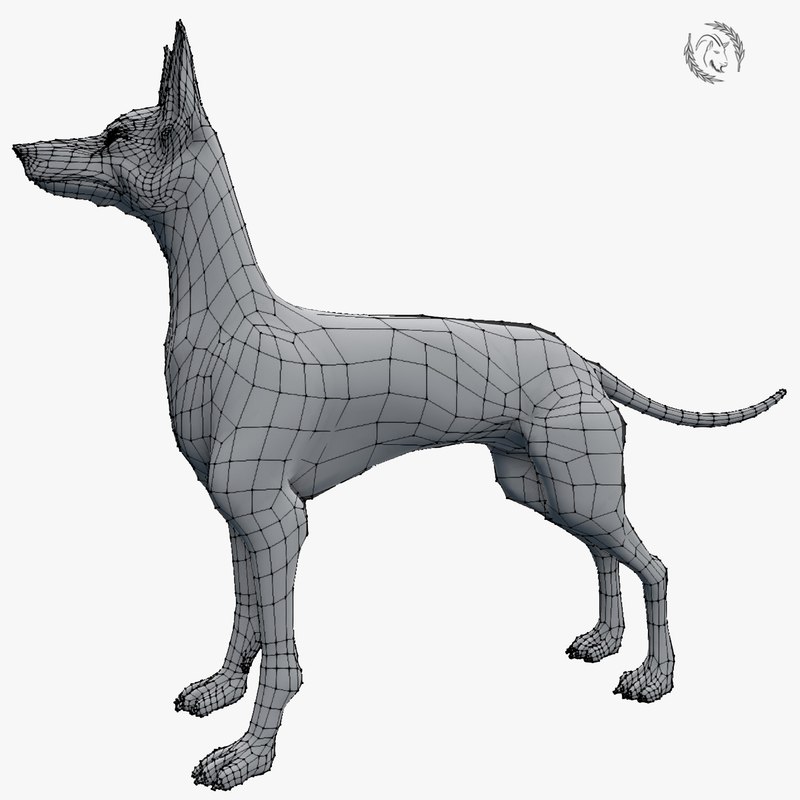 Dog canine 3D model - TurboSquid 1204872