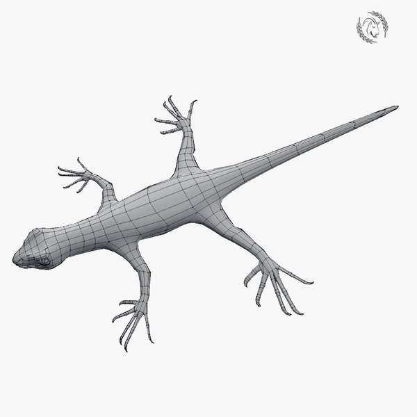 Gekko lizard model - TurboSquid 1204876