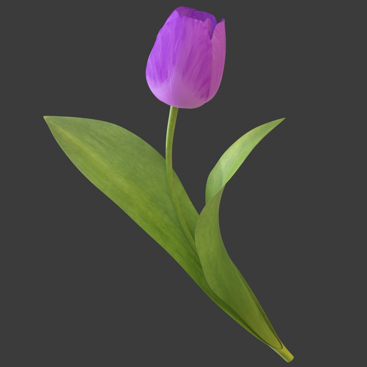 3D tulip flower model - TurboSquid 1205675