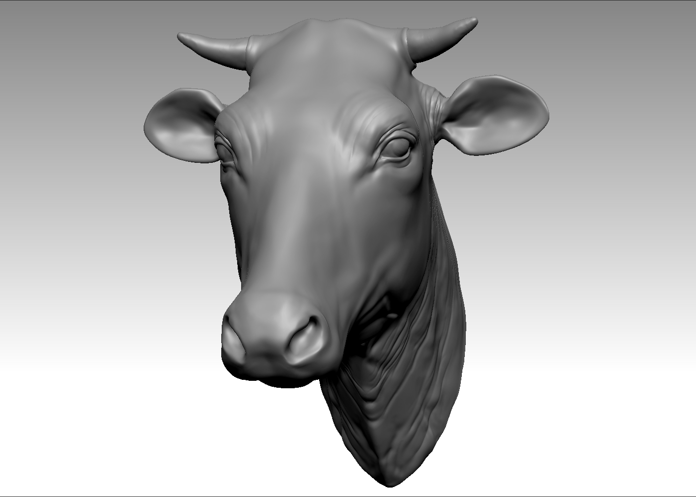 Cow head 3D model - TurboSquid 1205790