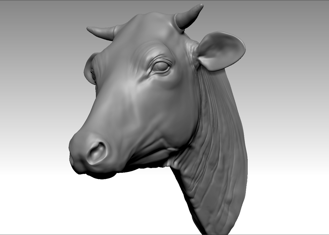 Cow head 3D model - TurboSquid 1205790