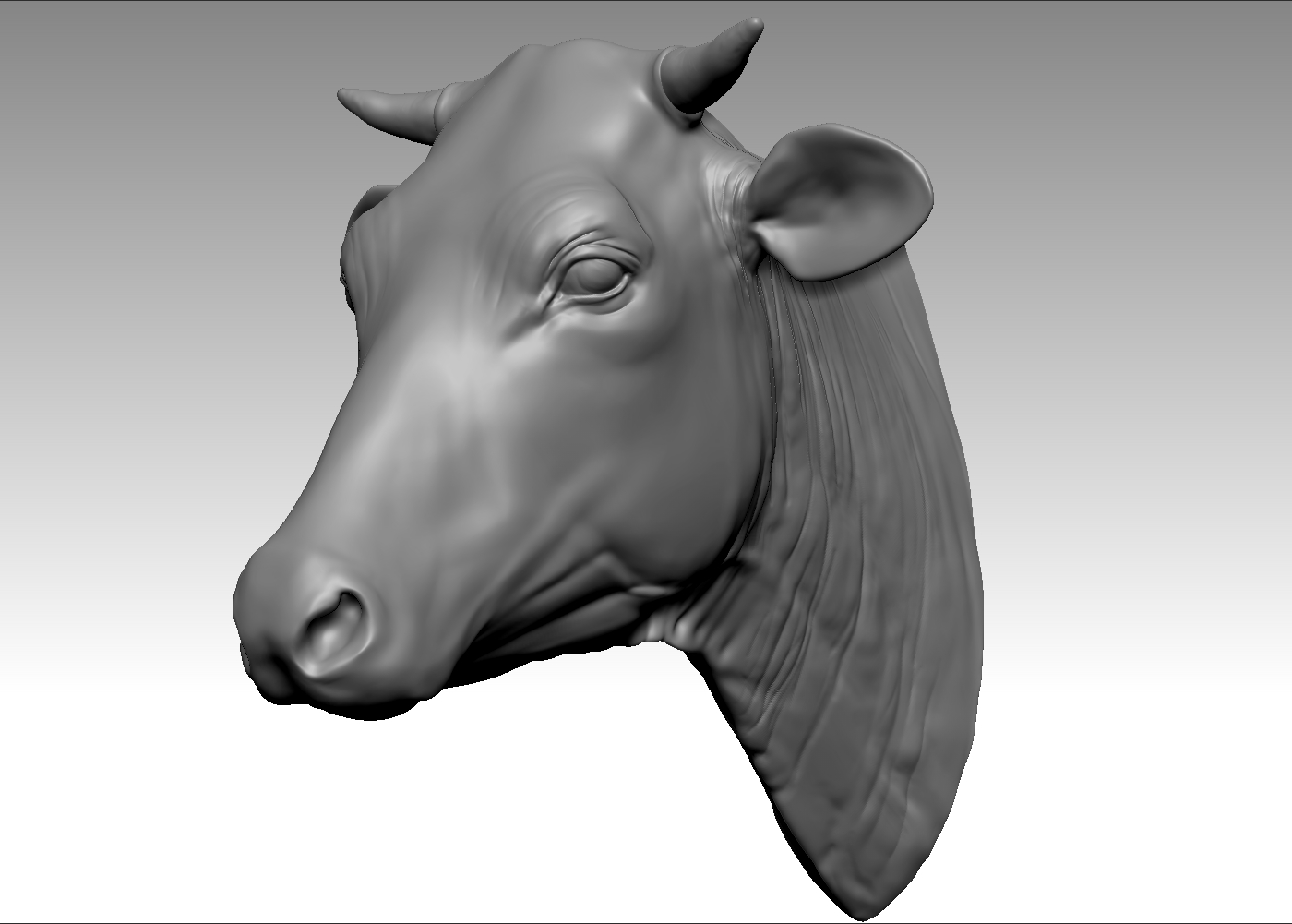 Cow head 3D model - TurboSquid 1205790