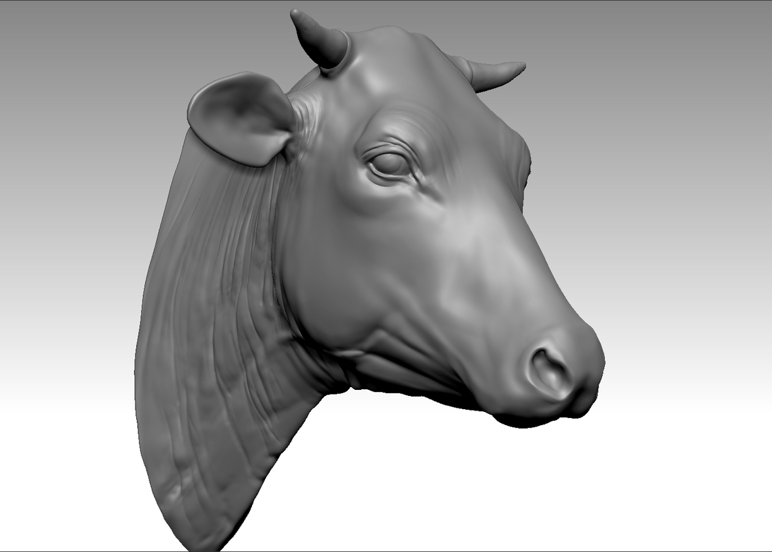 Cow head 3D model - TurboSquid 1205790