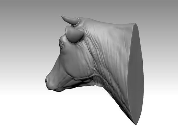 Cow head 3D model - TurboSquid 1205790