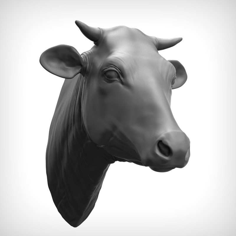 Cow head 3D model - TurboSquid 1205790