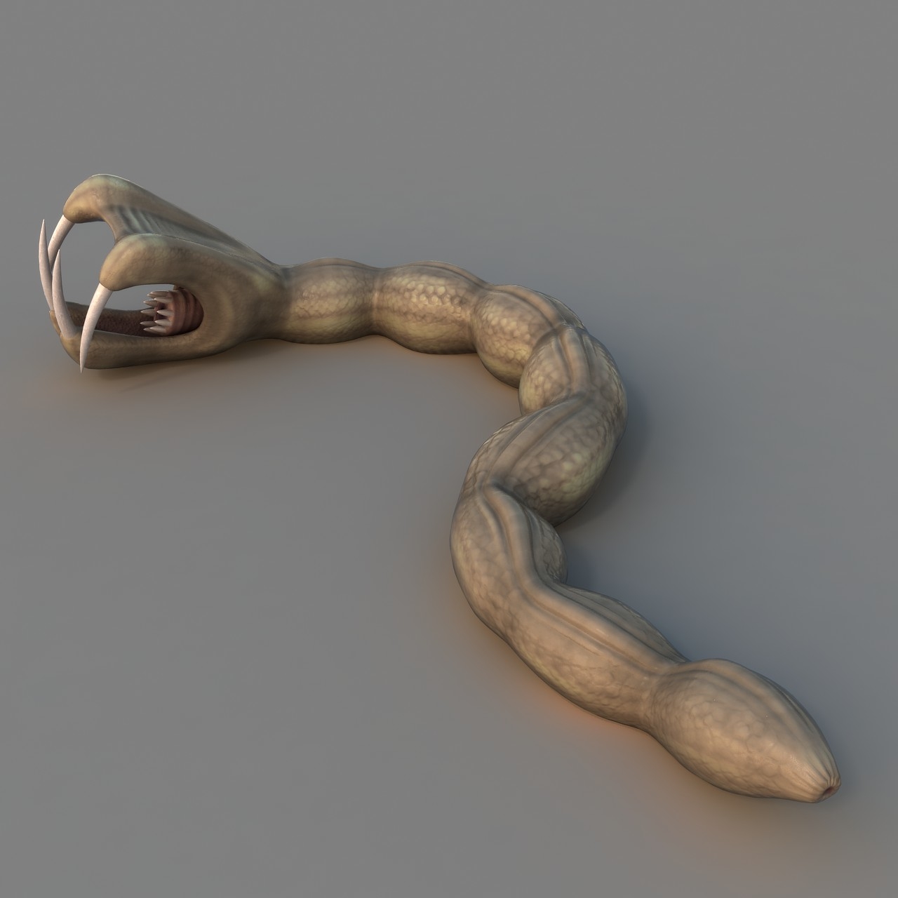 Rigged worm 3D model - TurboSquid 1205900