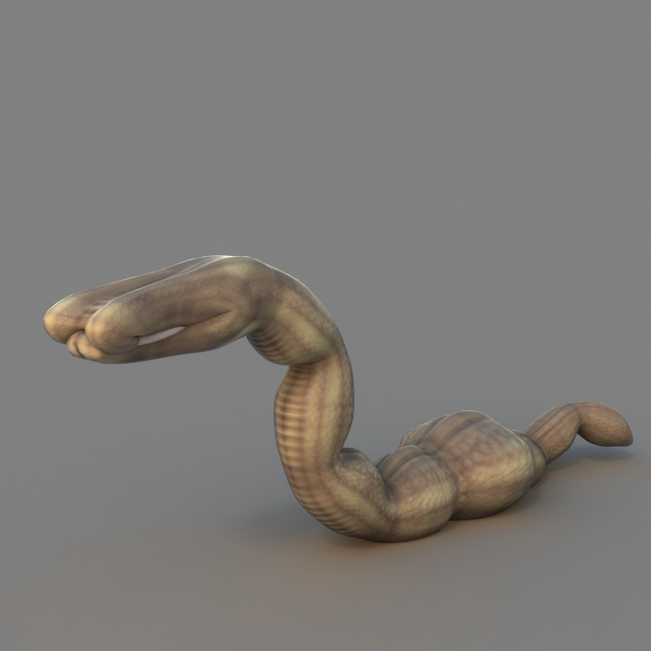Rigged worm 3D model - TurboSquid 1205900