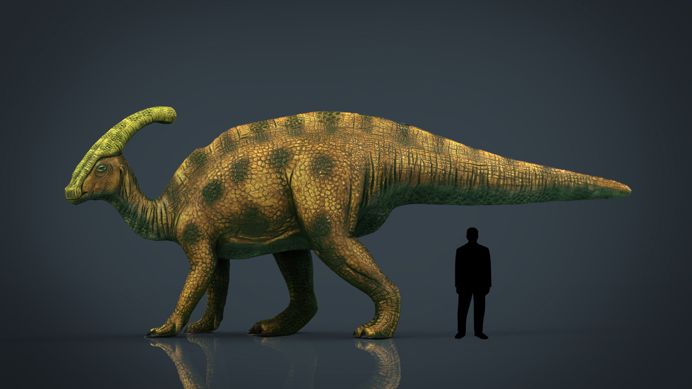 Modello 3D tsintaosaurus spinorhinus - TurboSquid 1205963