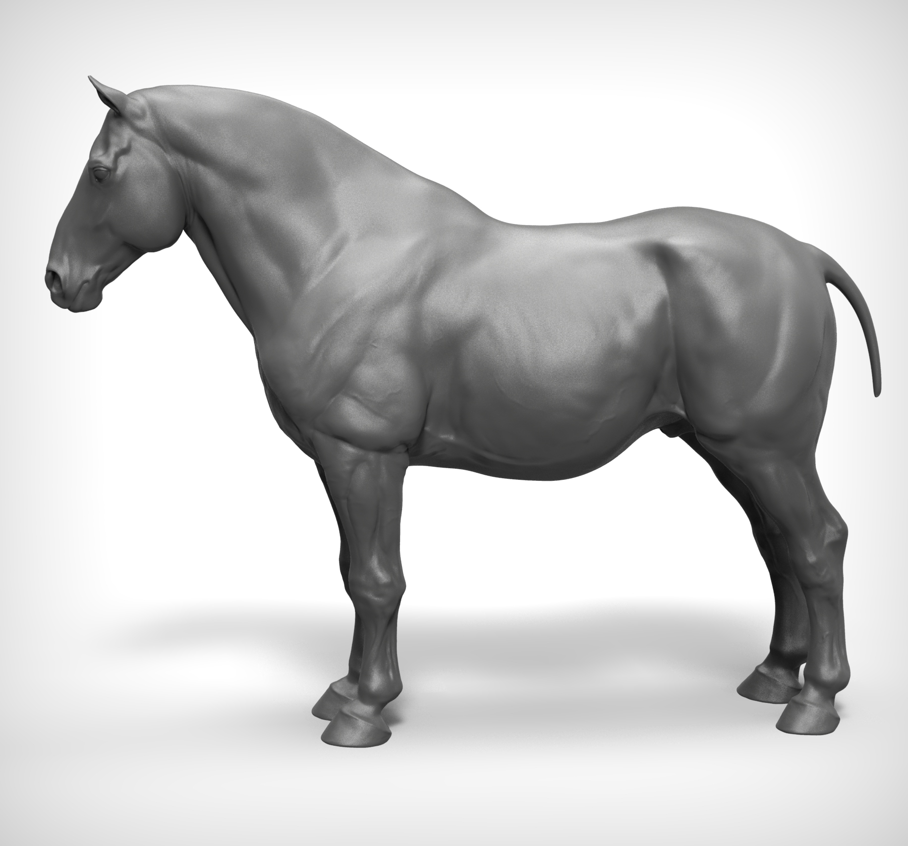 modelo 3d Caballo pesado - TurboSquid 1206082