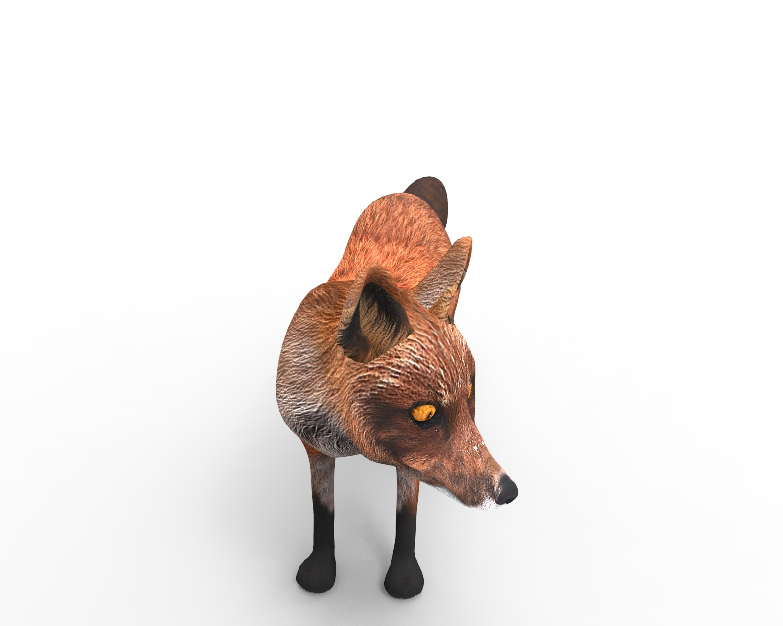 3D model fox rigged - TurboSquid 1206369