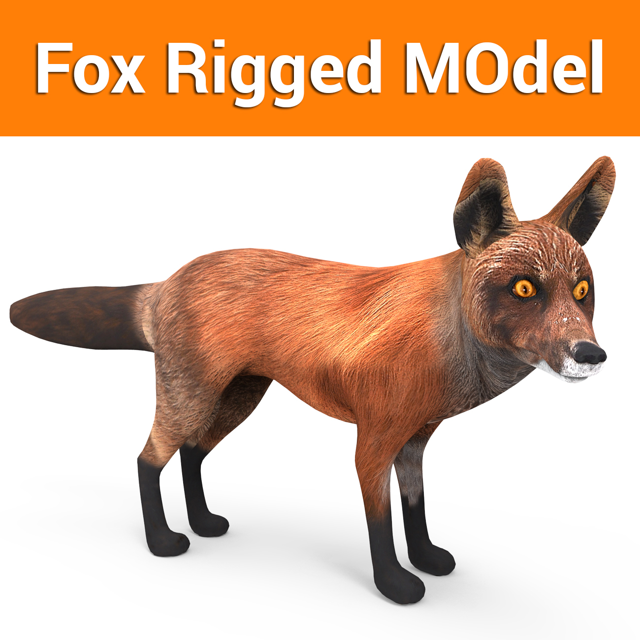 3D model fox rigged - TurboSquid 1206369