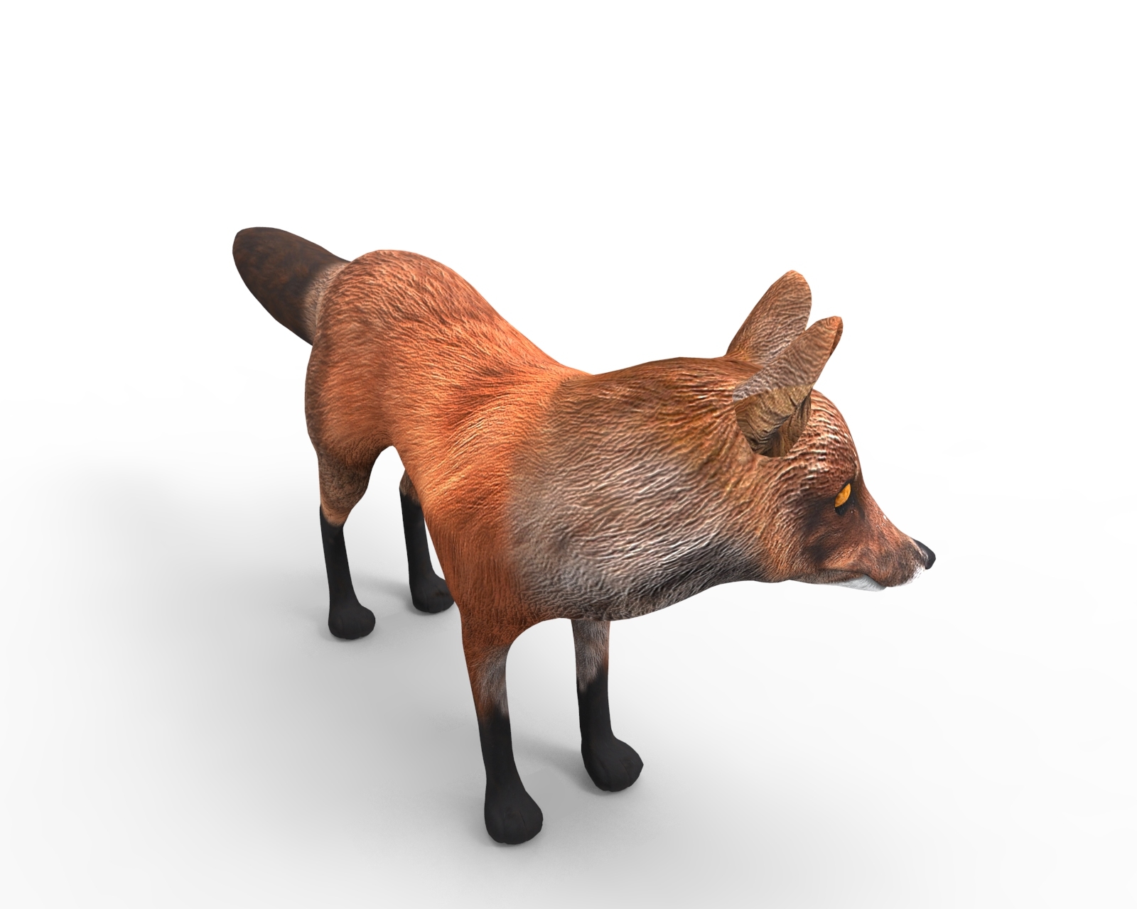 3D model fox rigged - TurboSquid 1206369