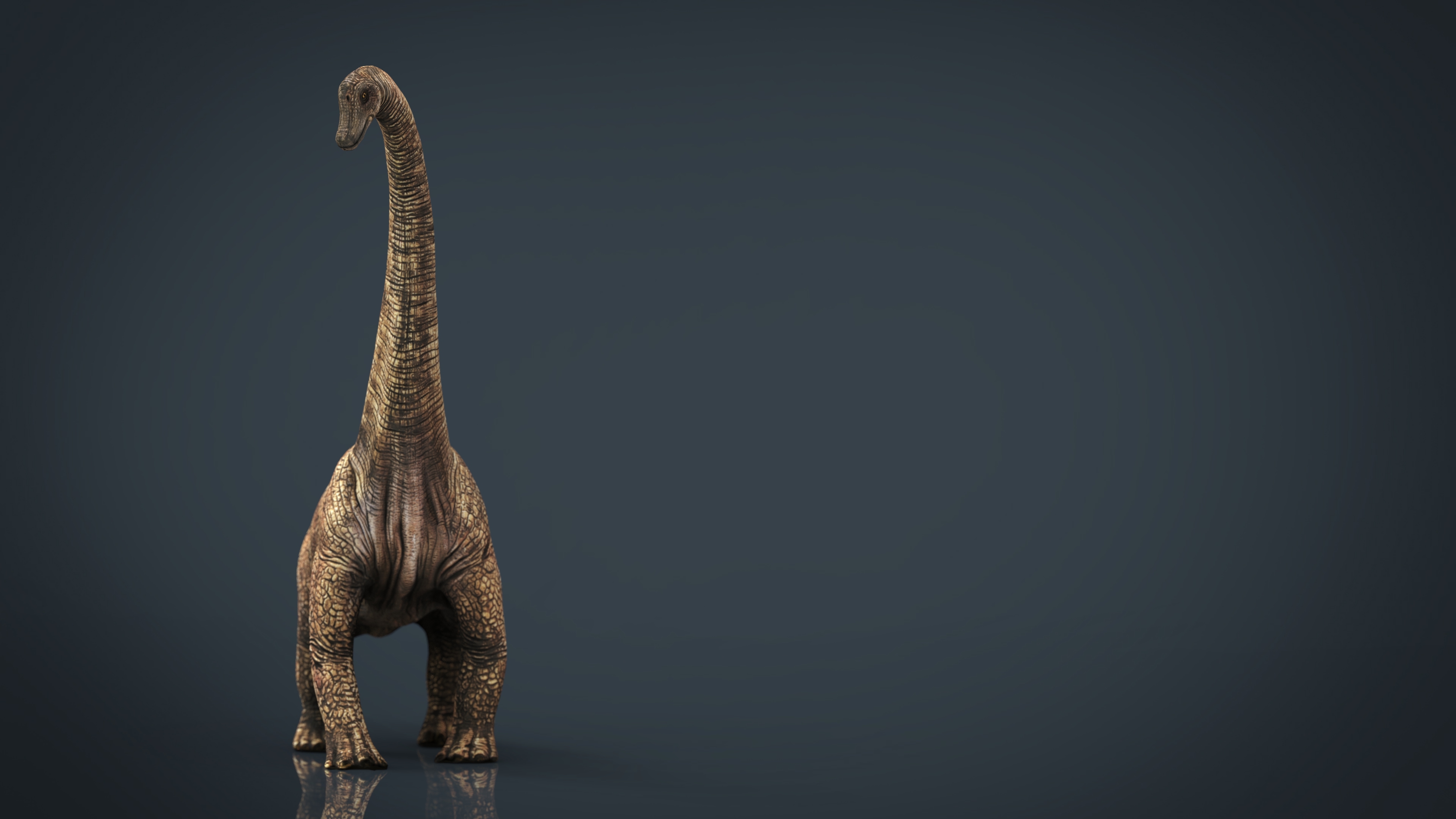 3D realistic brachiosaurus - TurboSquid 1206484