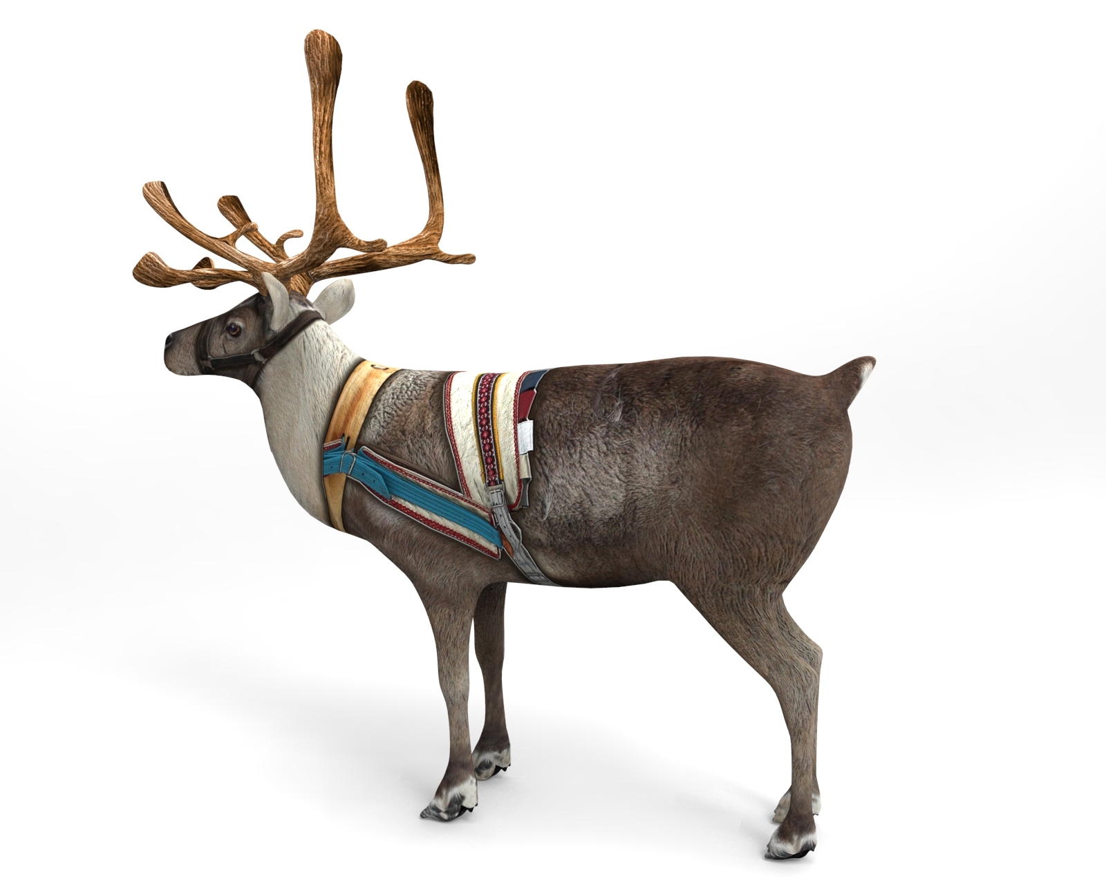 Reindeer deer 3D model - TurboSquid 1207438
