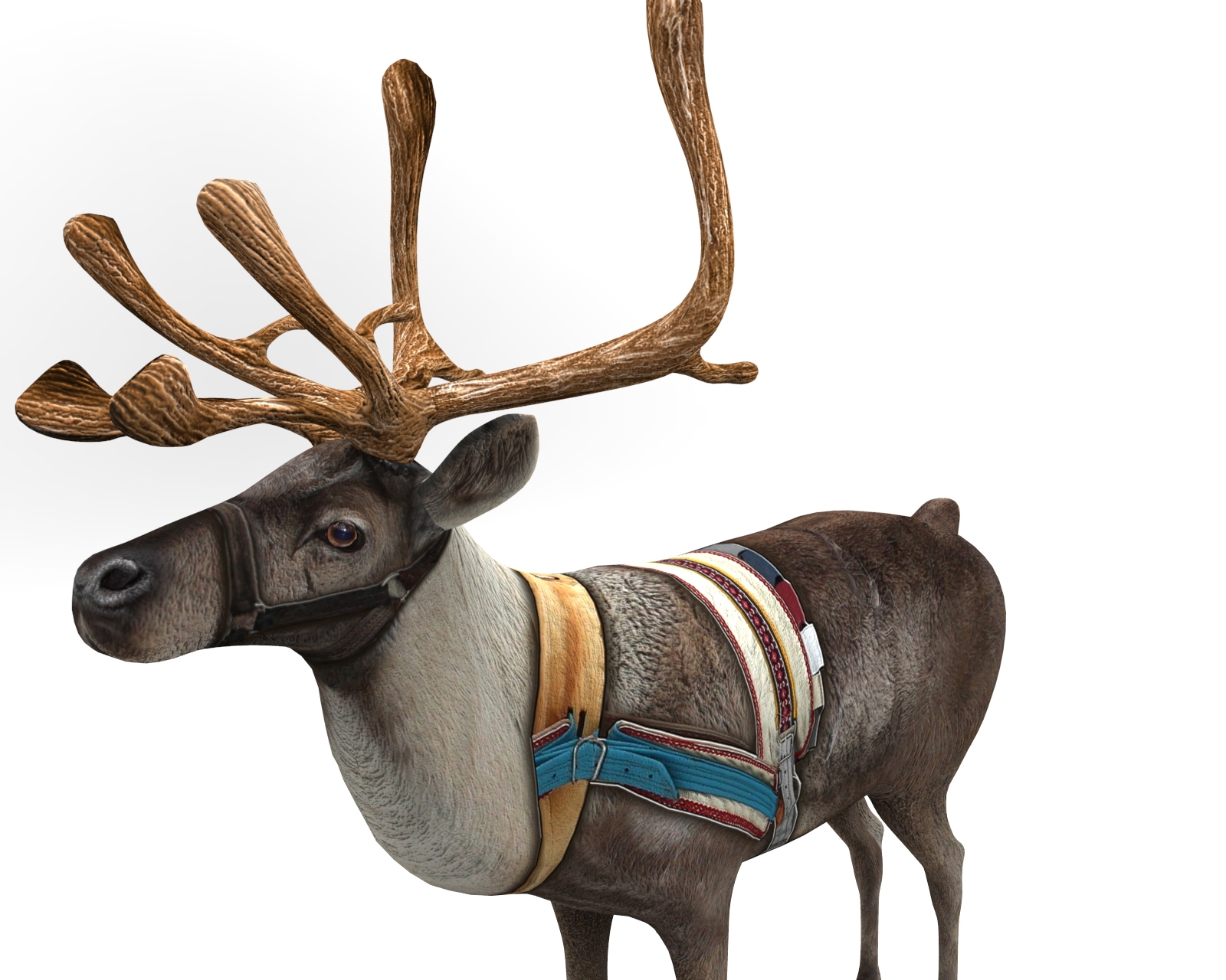 Reindeer deer 3D model - TurboSquid 1207438