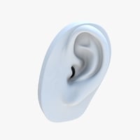 Ear 3D Models for Download | TurboSquid