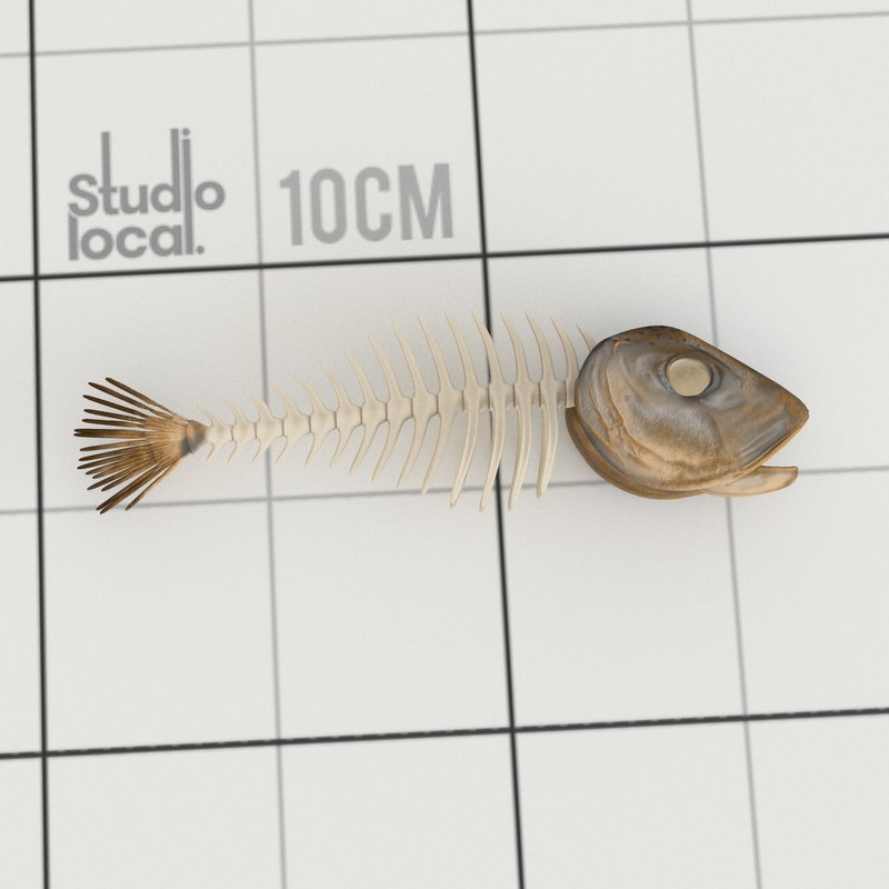 3D fish bones - TurboSquid 1207945
