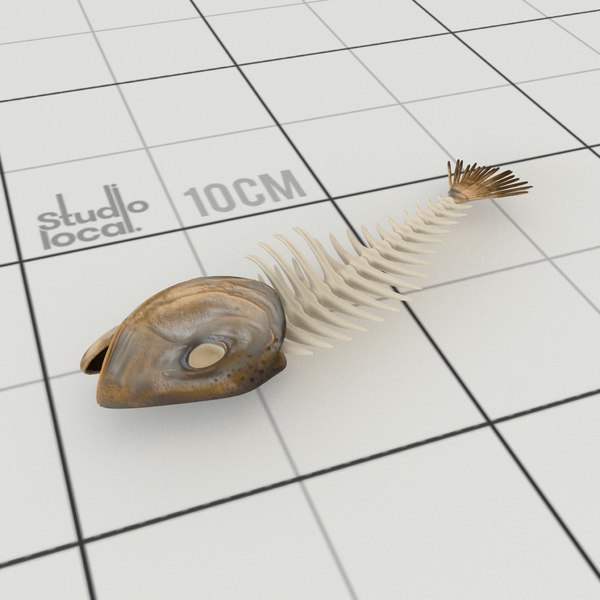 3D fish bones - TurboSquid 1207945