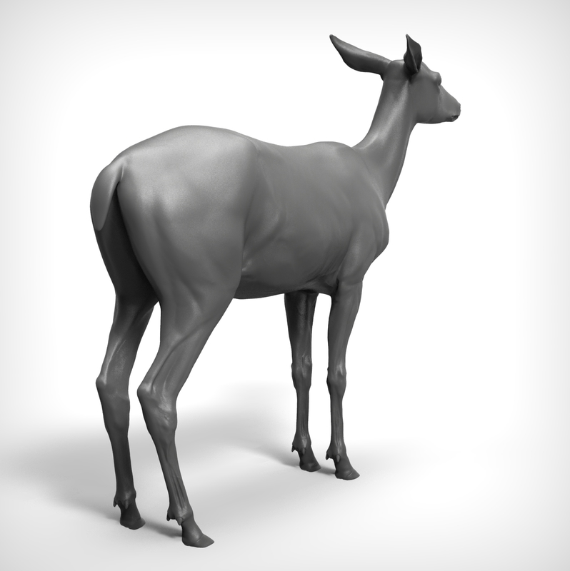 3D deer realistic model - TurboSquid 1208106