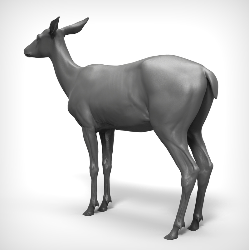 3D deer realistic model - TurboSquid 1208106