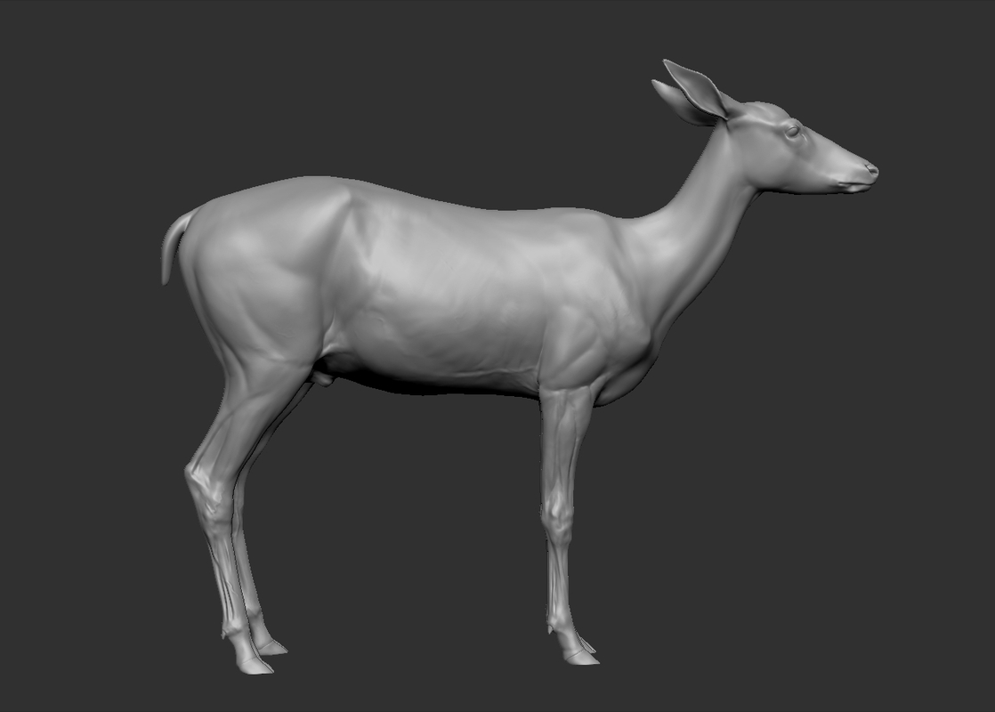 3D deer realistic model - TurboSquid 1208106