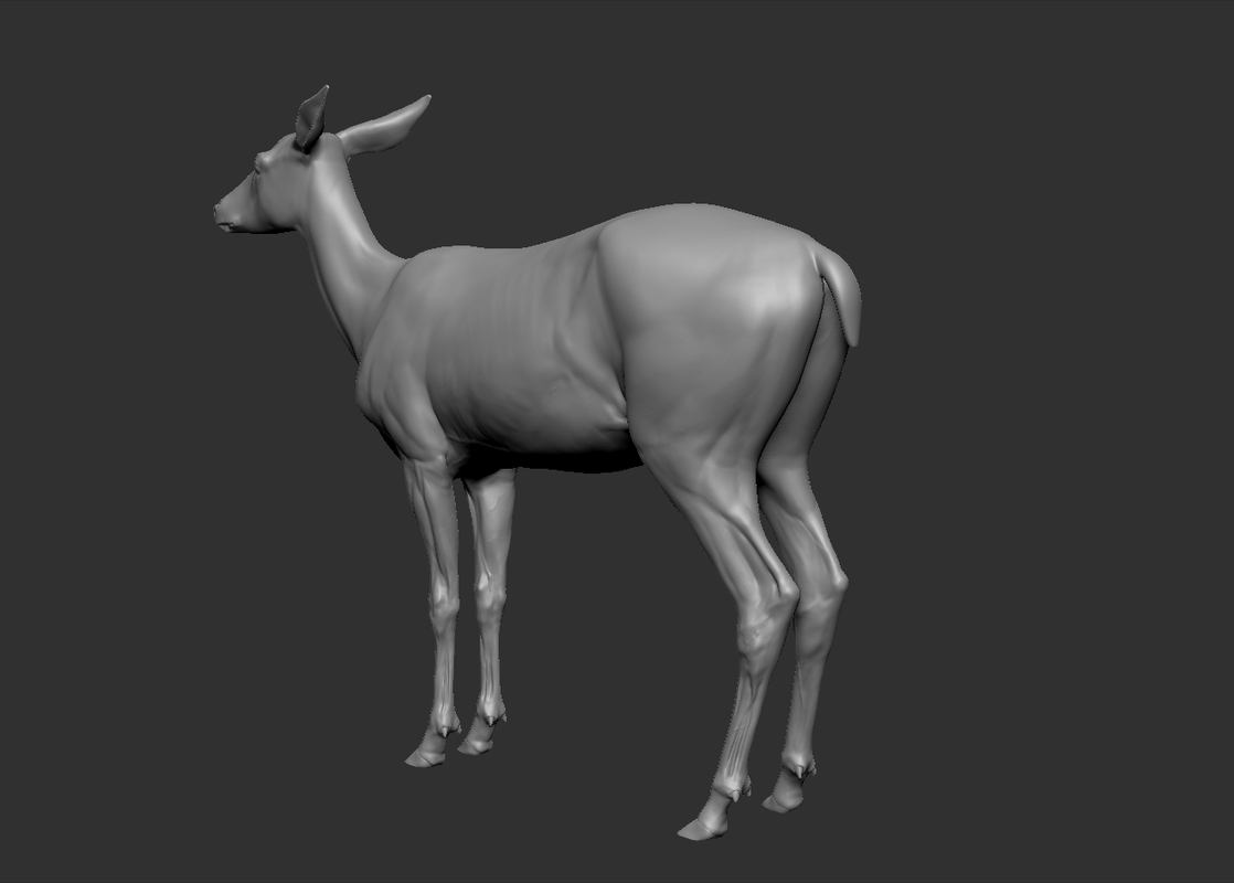 3D deer realistic model - TurboSquid 1208106