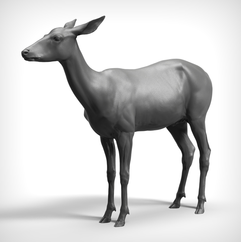 3D deer realistic model - TurboSquid 1208106