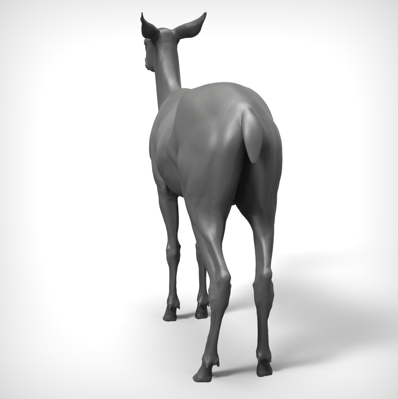 3D deer realistic model - TurboSquid 1208106