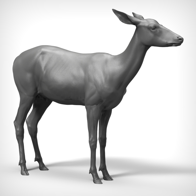 3D deer realistic model - TurboSquid 1208106