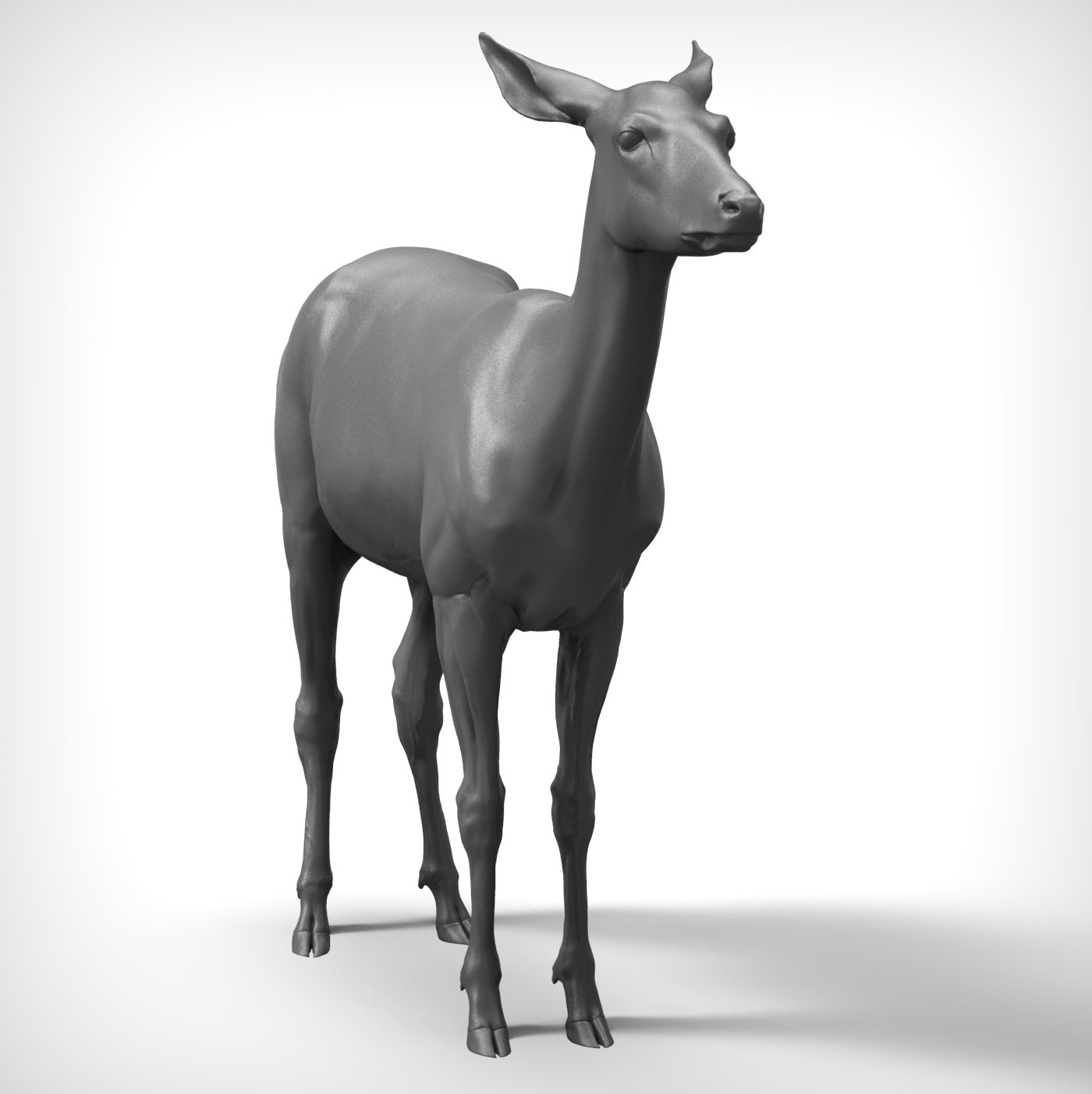 3D deer realistic model - TurboSquid 1208106
