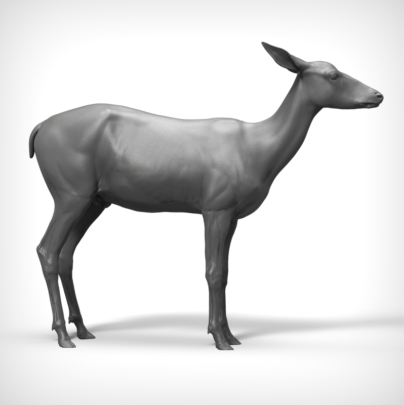 3D deer realistic model - TurboSquid 1208106