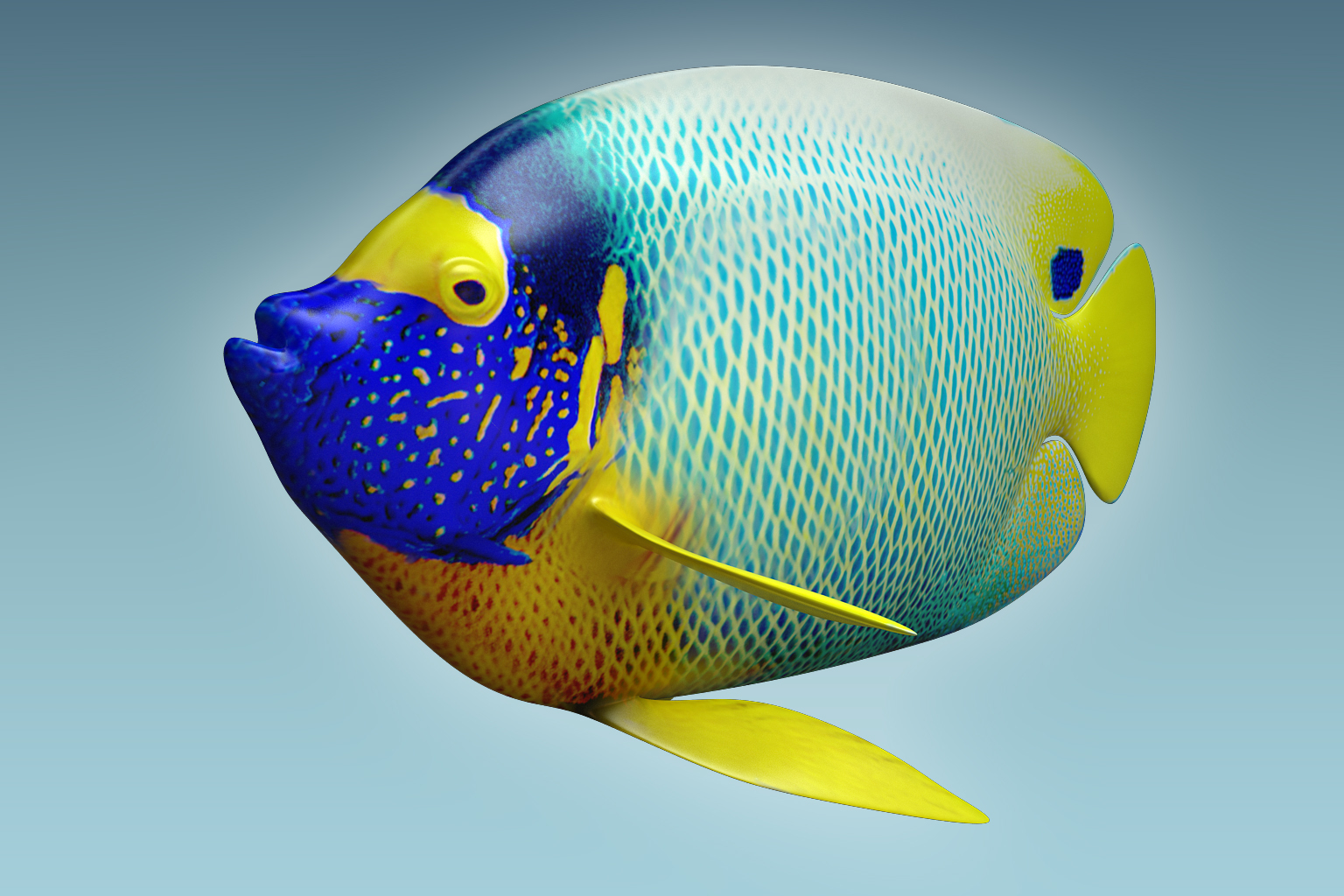 3D angle fish 16 model - TurboSquid 1208438