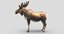 3D moose fur hair - TurboSquid 1208600