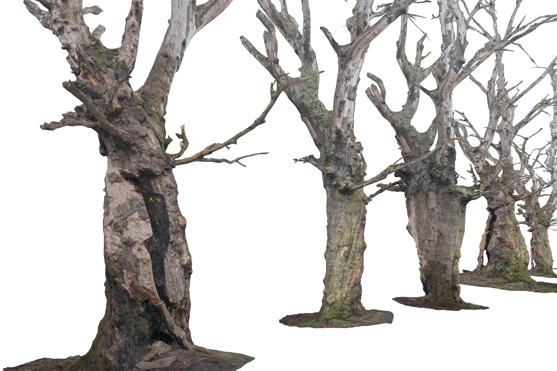 Spooky forest pack 30 3D model - TurboSquid 1209186