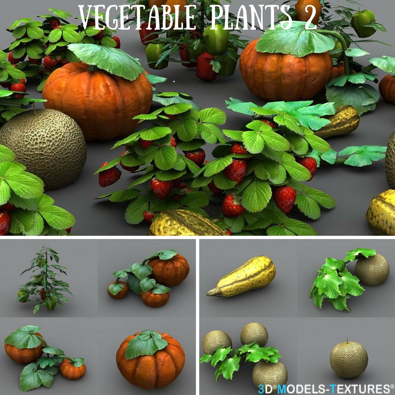 3D vegetable plants - TurboSquid 1209272