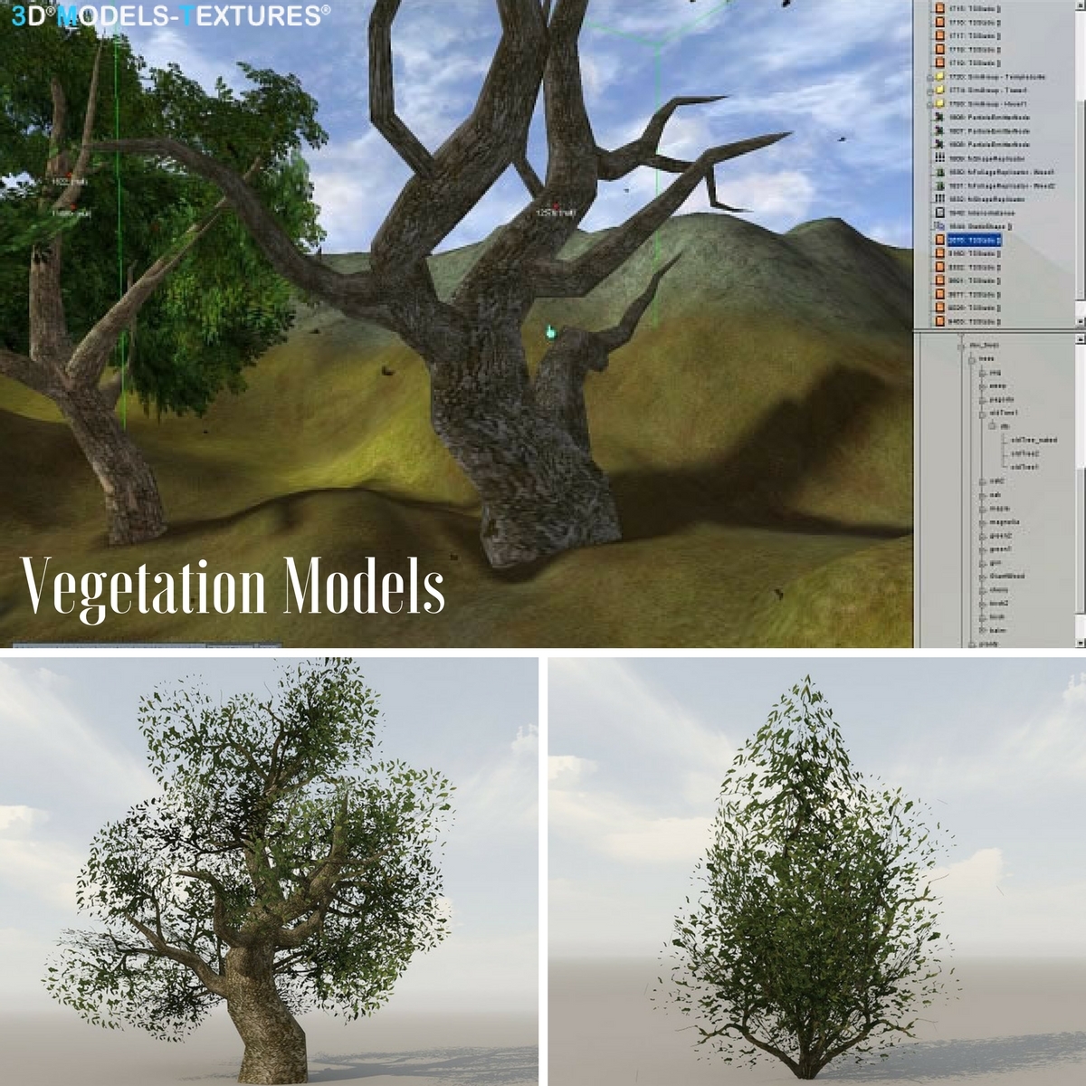 3D model vegetation trees - TurboSquid 1209485