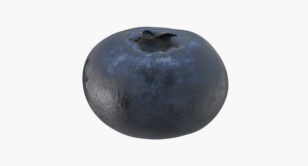 3D blueberry realistic model - TurboSquid 1209680
